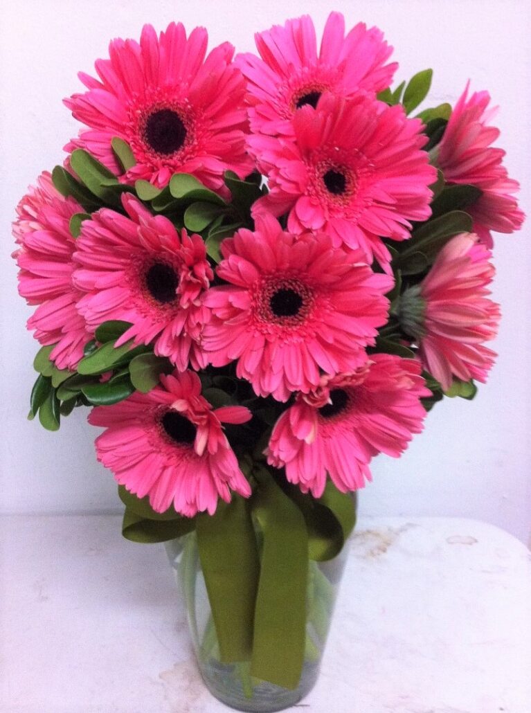 20 Gerbera color FIUSHA Jarrón.. - Flores4U